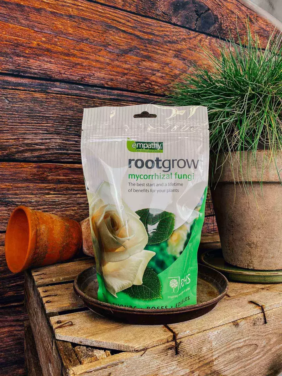 RHS Supreme Green Lawn Seed With Rootgrow - 1kg - Frosts RHS Supreme Green Lawn Seed With Rootgrow - 1kg - Frosts